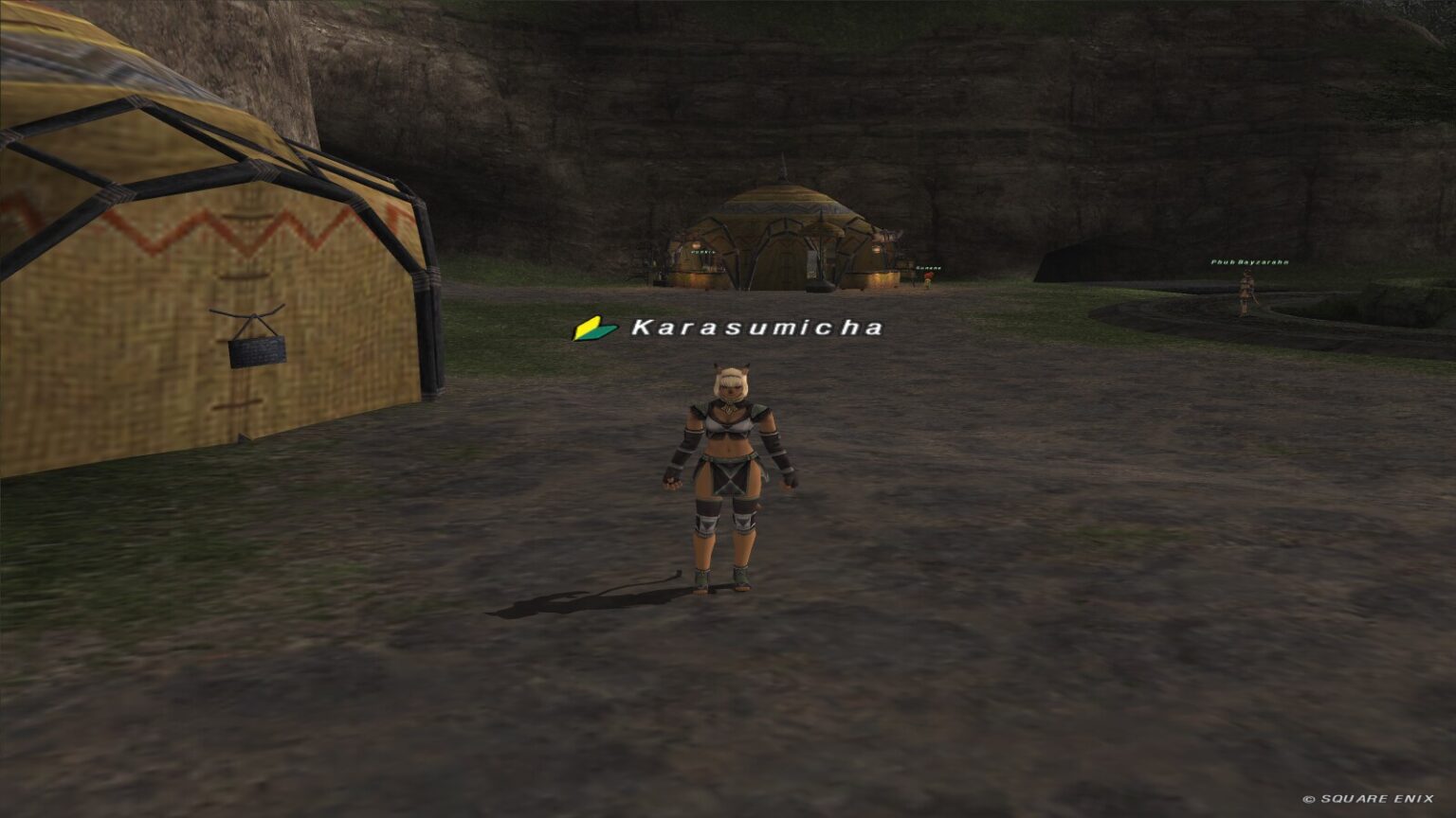 FF11を設定し快適にプレイしてみる【超初心者向け】 | からすみにっき